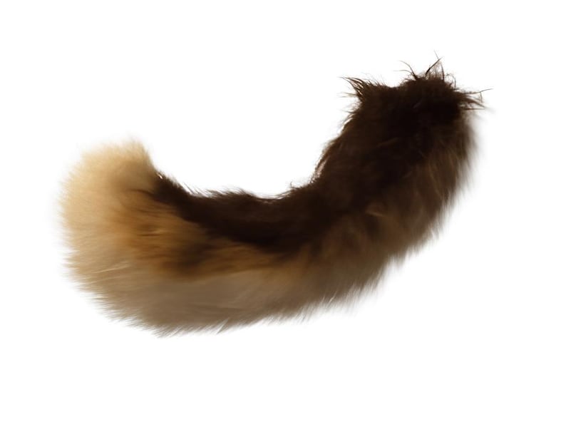 Moving Dog Tails. App Control, Lots of Moves. Customized for You ...