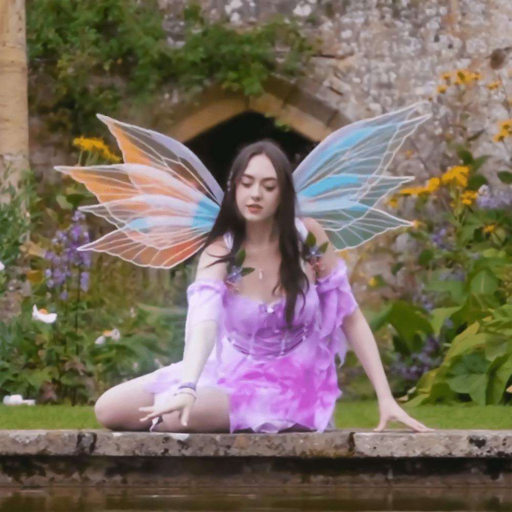 Moving Fairy Wings, App-controlled Animatronic Cosplay Wings, Beautiful ...