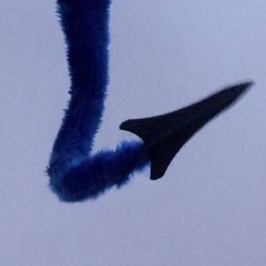 NIGHTCRAWLER TAIL Animatronic Moving, Wagging, 11 Different Moves. App ...