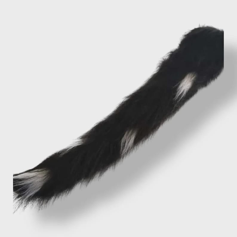 Moving Dog Tails. App Control, Lots of Moves. Customized for You ...