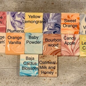 1000 Wholesale Bulk Mini Soaps MADE TO ORDER Unwrapped Soap Bars ...