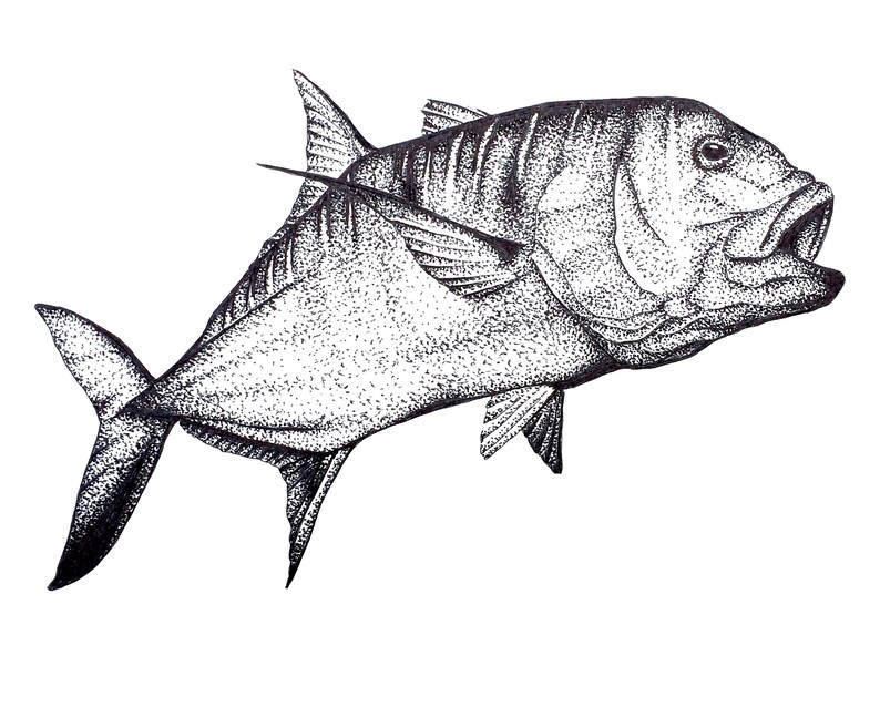 Giant Trevally - Etsy