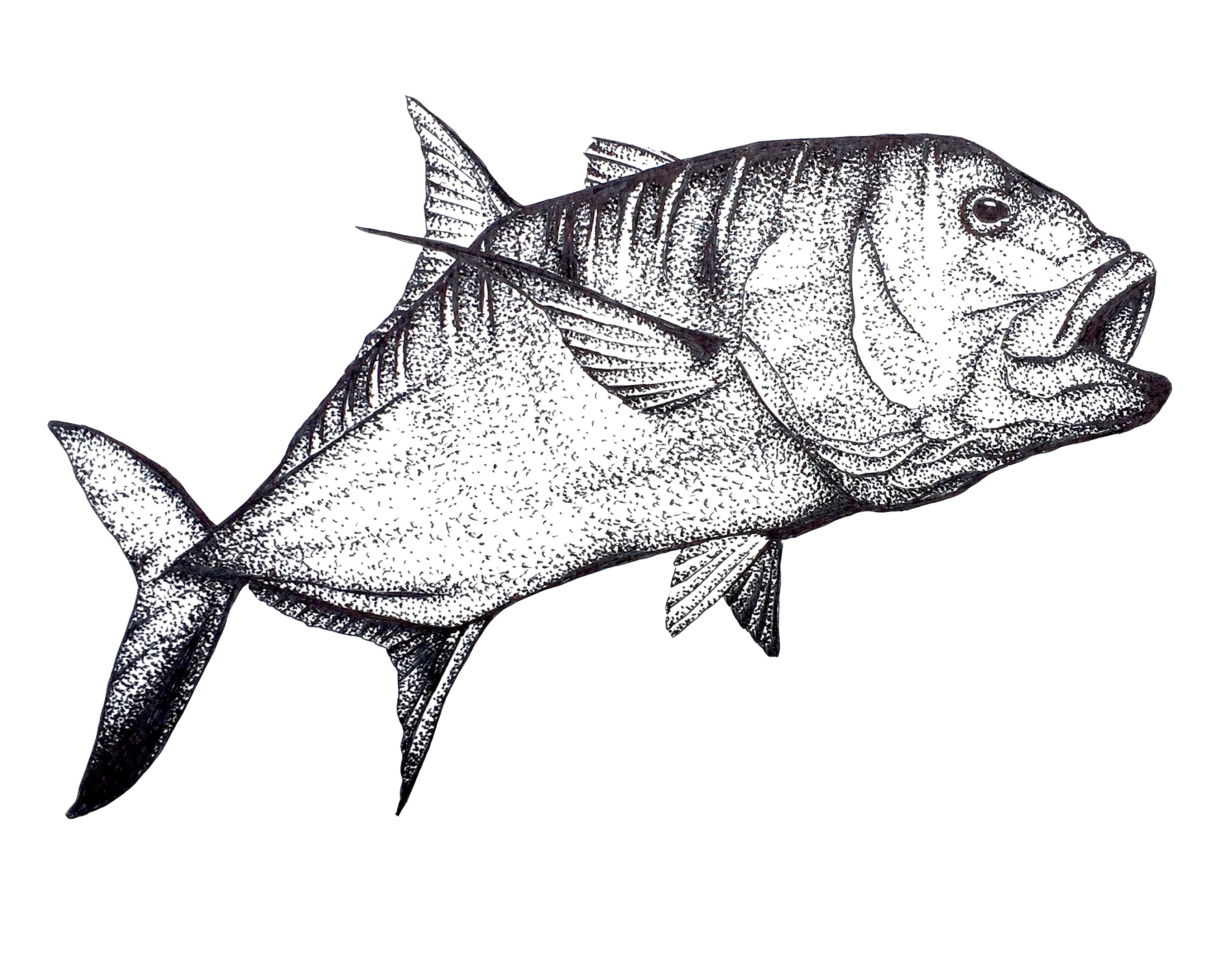 Giant Trevally - Etsy