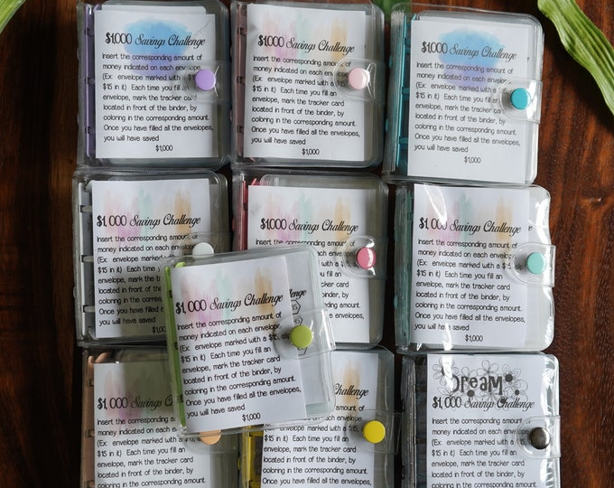Mini Money Savings Binder Challenge - Etsy