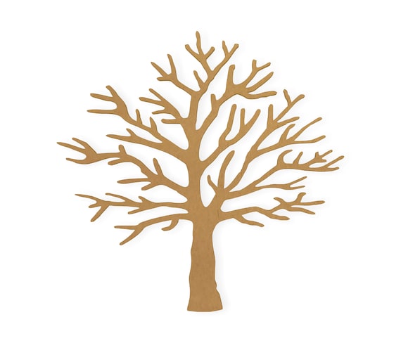 Tree Cut Out Professional Tree Company | Kansas City, MO, Leawood