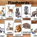 Forest Animal Flashcards, 10 Woodland Creatures, Digital Download ...