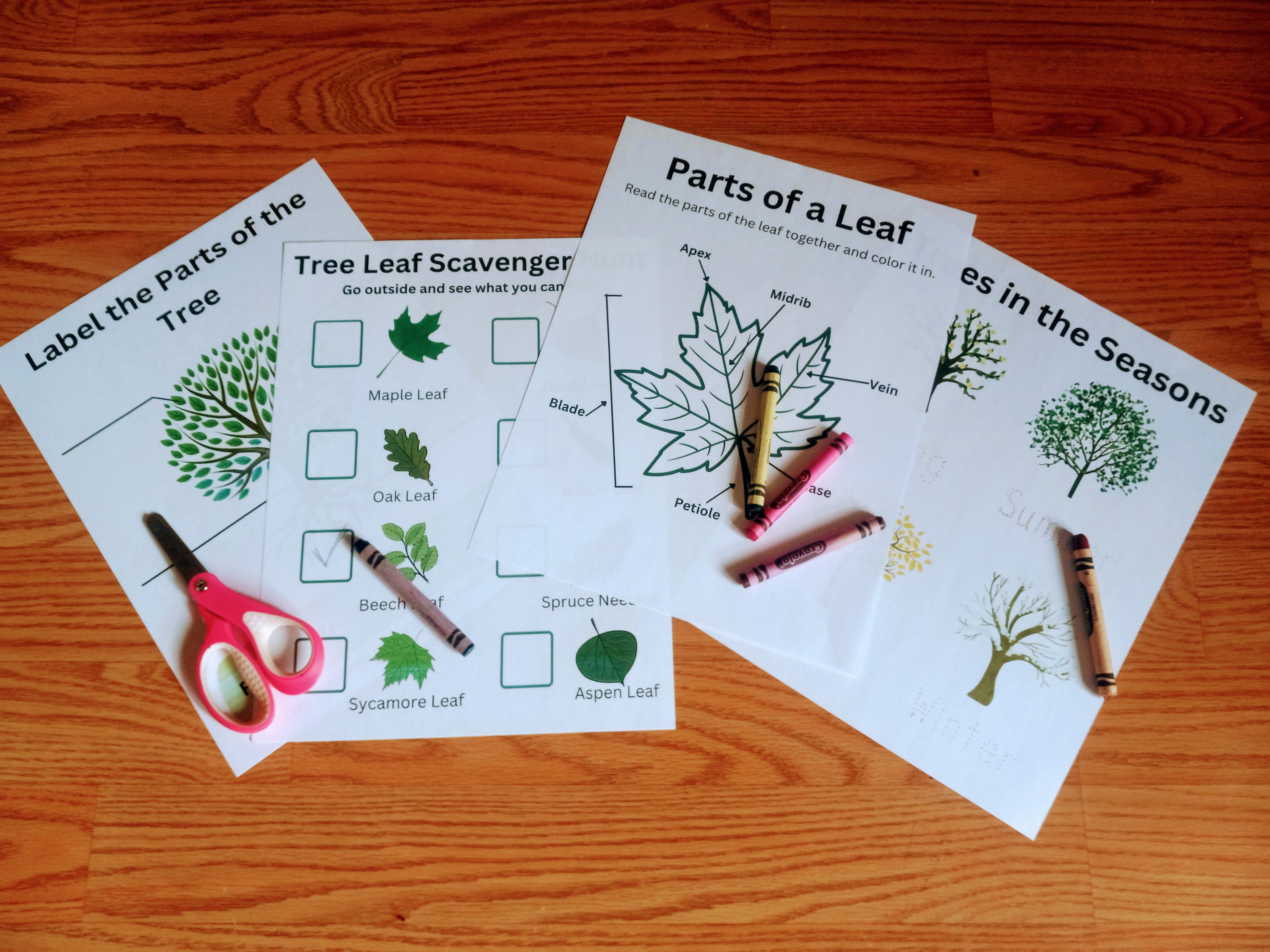 Preschool Worksheets Kindergarten Worksheets Nature Activity Homeschool ...