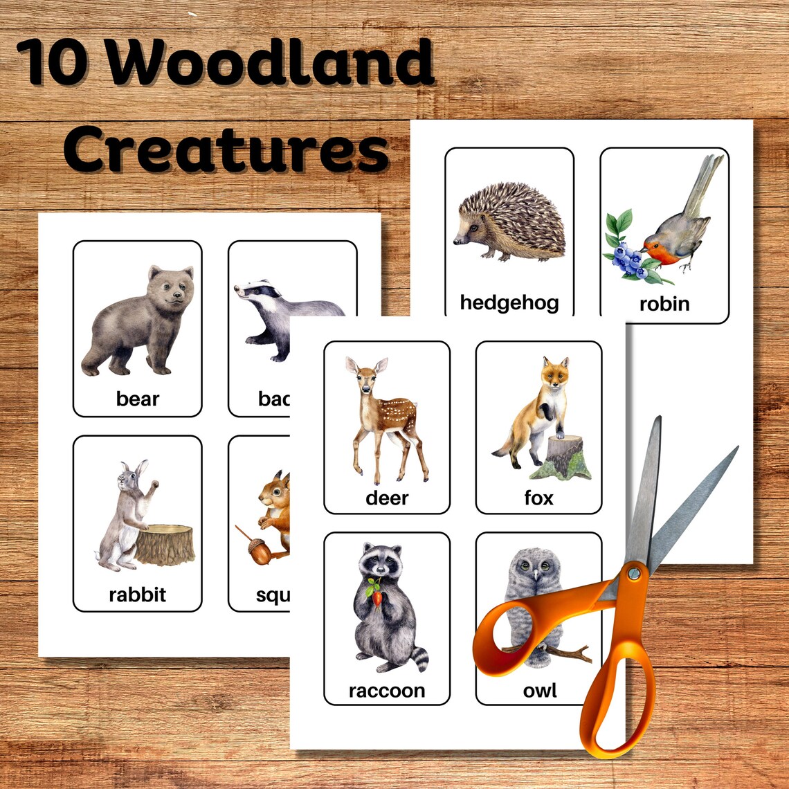 Forest Animal Flashcards, 10 Woodland Creatures, Digital Download ...