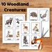 Forest Animal Flashcards, 10 Woodland Creatures, Digital Download ...