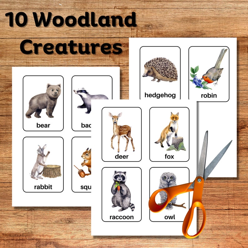 Forest Animal Flashcards, 10 Woodland Creatures, Digital Download ...