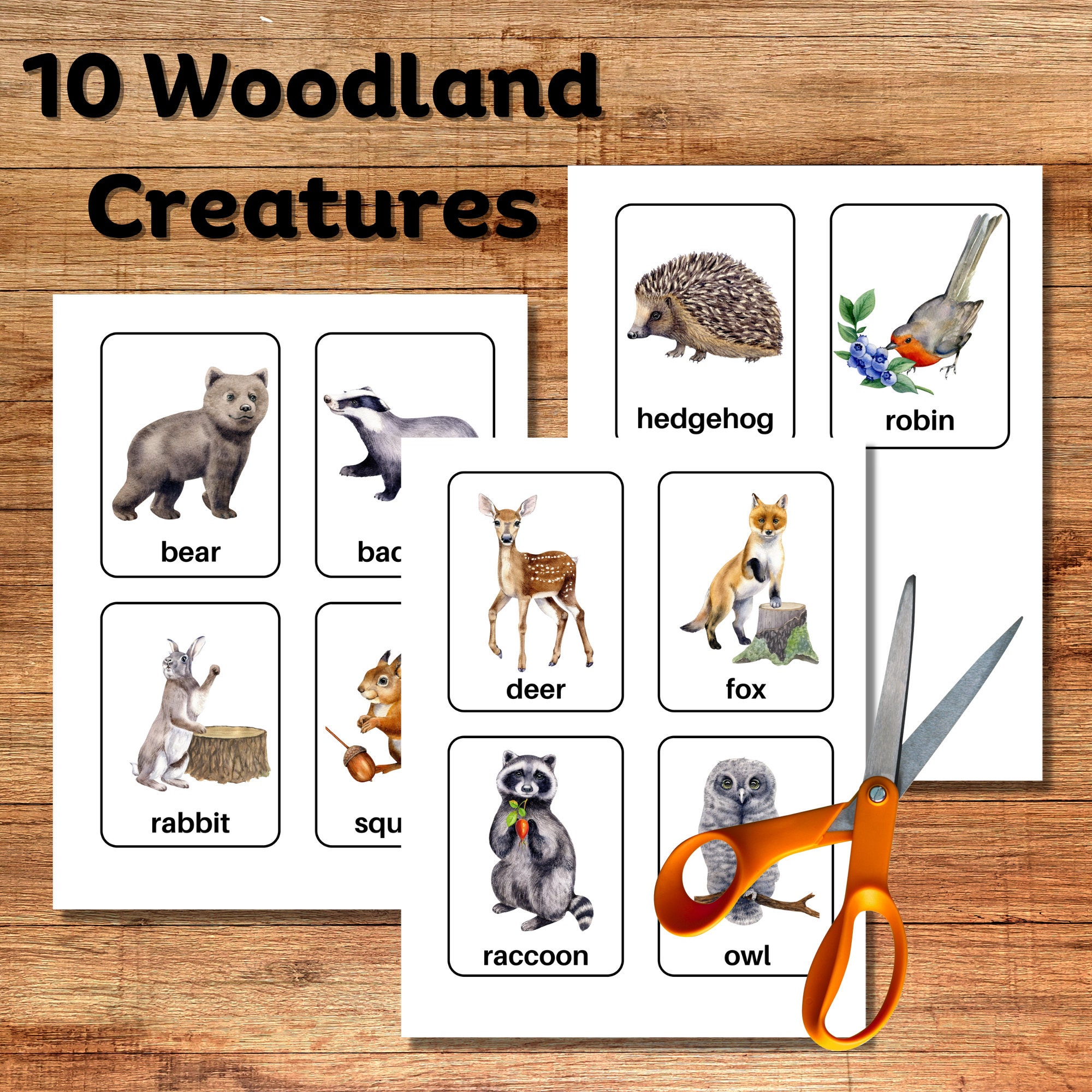 Forest Animal Flashcards, 10 Woodland Creatures, Digital Download ...
