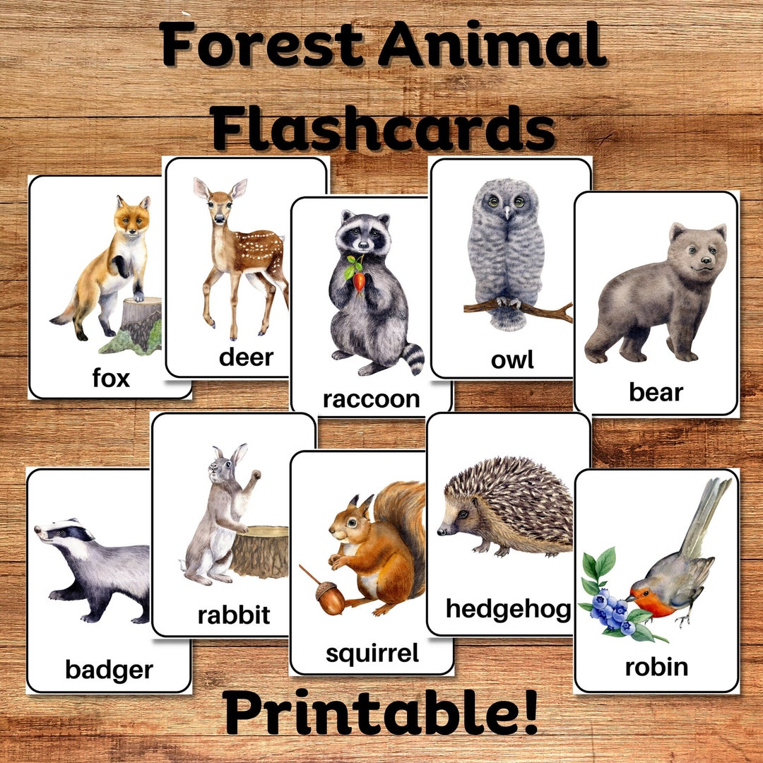 Forest Animal Flashcards, 10 Woodland Creatures, Digital Download ...