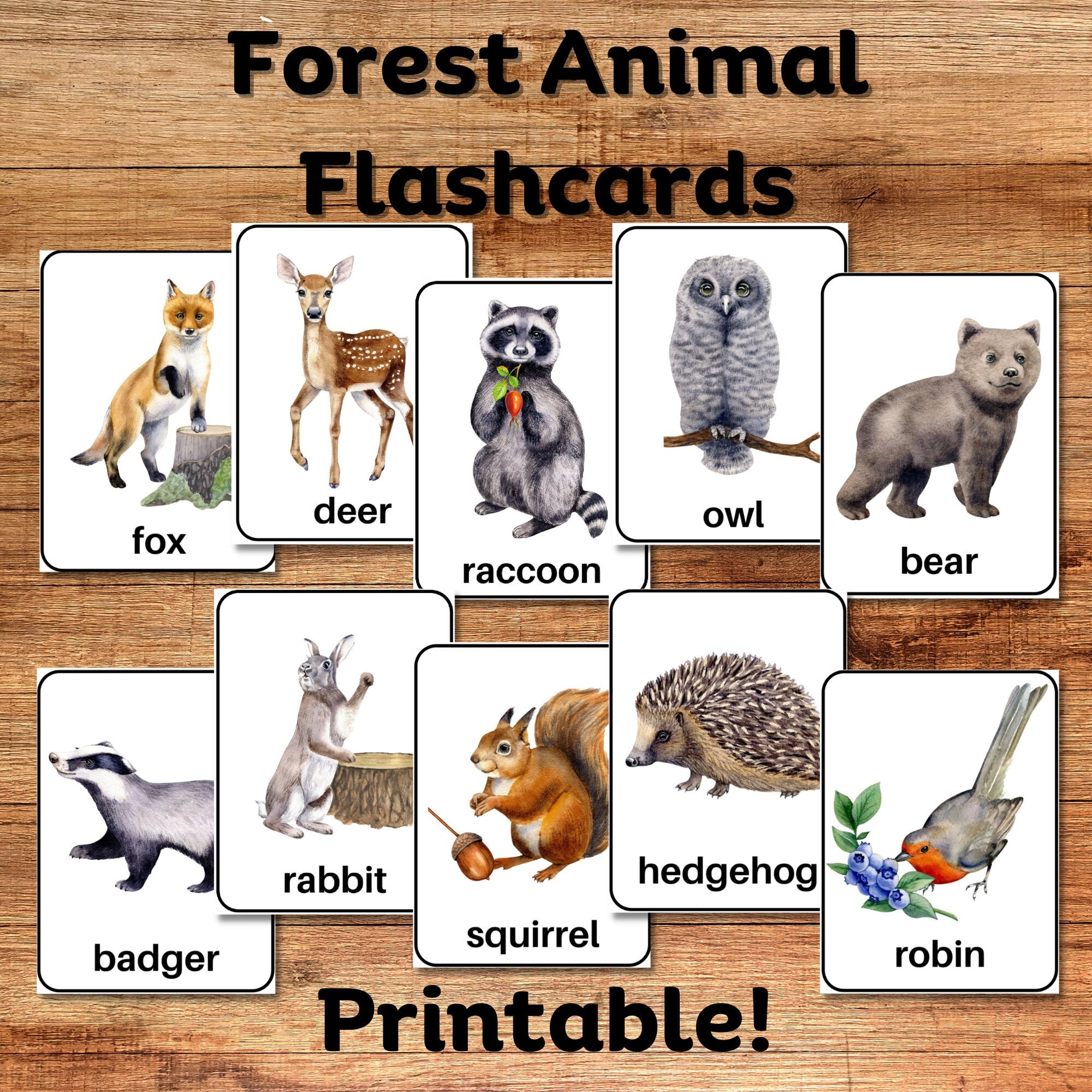 Forest Animal Flashcards, 10 Woodland Creatures, Digital Download ...