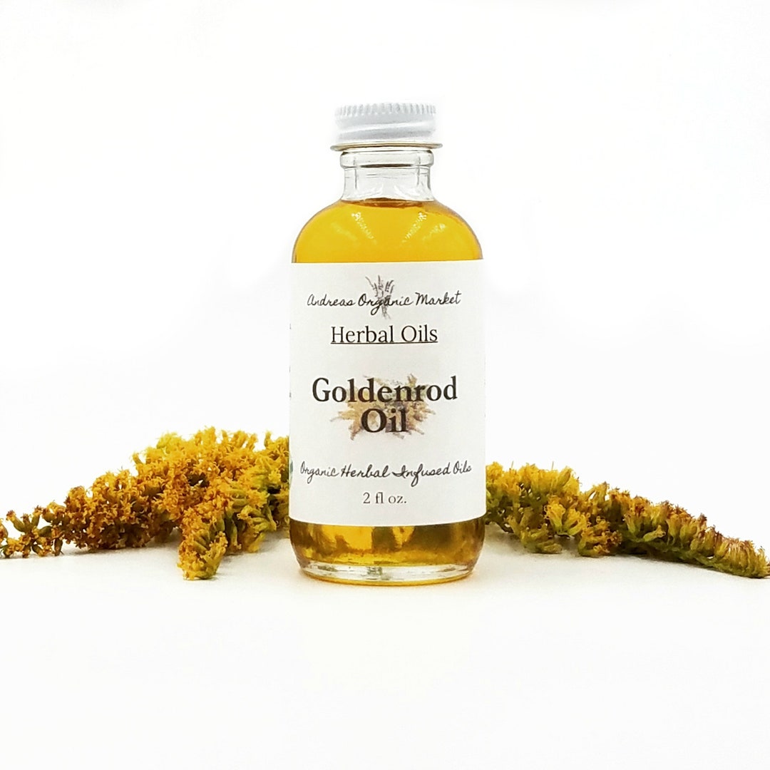 Organic Goldenrod Flower Infused Oil, Herbal All Over Body Oil for the ...