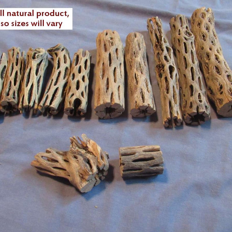 Cholla Wood - Etsy