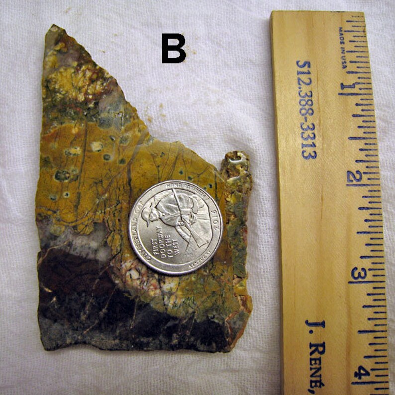 LAPIDARY SLABS Your Choice Cabbing Rough Lapidary | Etsy