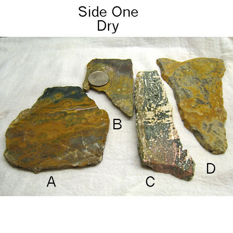 LAPIDARY SLABS Your Choice Cabbing Rough Lapidary | Etsy