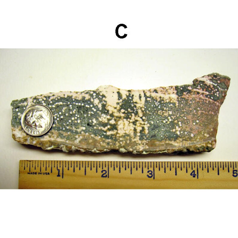 LAPIDARY SLABS Your Choice Cabbing Rough Lapidary | Etsy