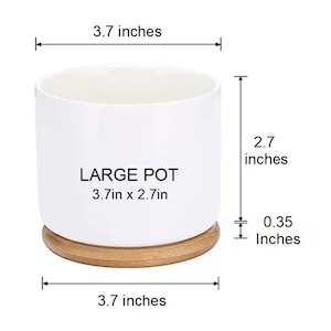 Create Your Own Custom Personalized Message Text Succulent Flower Pot ...