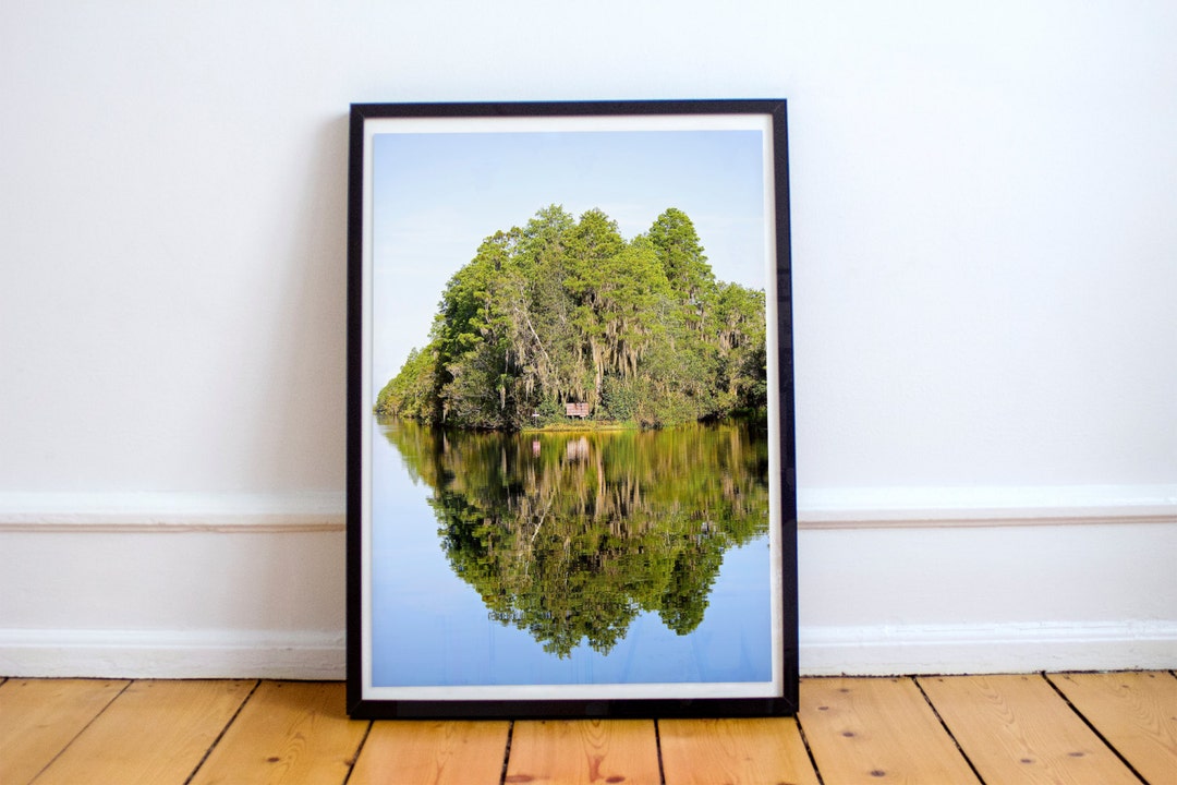 Okefenokee Swamp, Folkston, Georgia, Reflection, Trees, Water, Suwanee ...