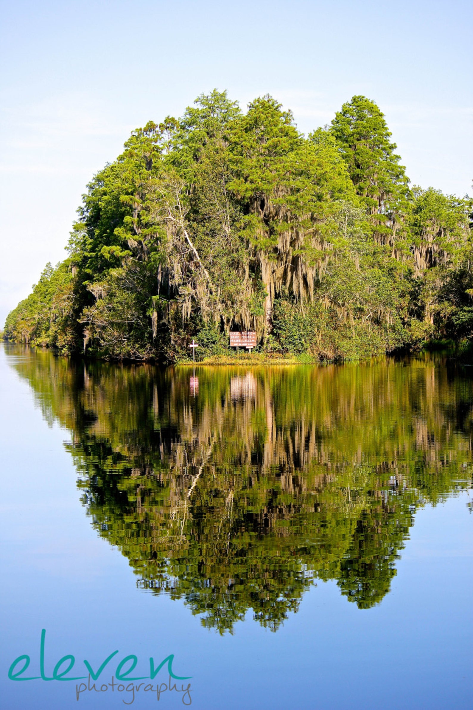 Okefenokee Swamp, Folkston, Georgia, Reflection, Trees, Water, Suwanee ...