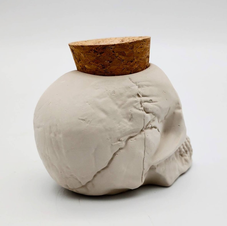 Realistic Skull Stash Jar Mold Ceramic Slip Casting - Etsy