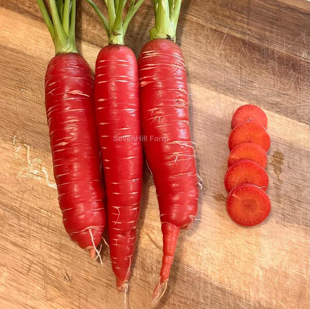 Samurai Red Japanese Sweet Heirloom Carrot Seeds - Etsy