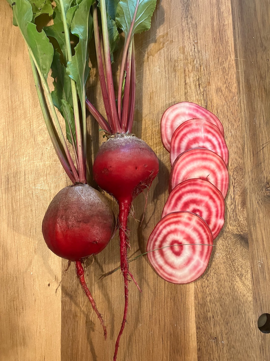 Chioggia Beet Root Heirloom Vegetable Seeds - Etsy
