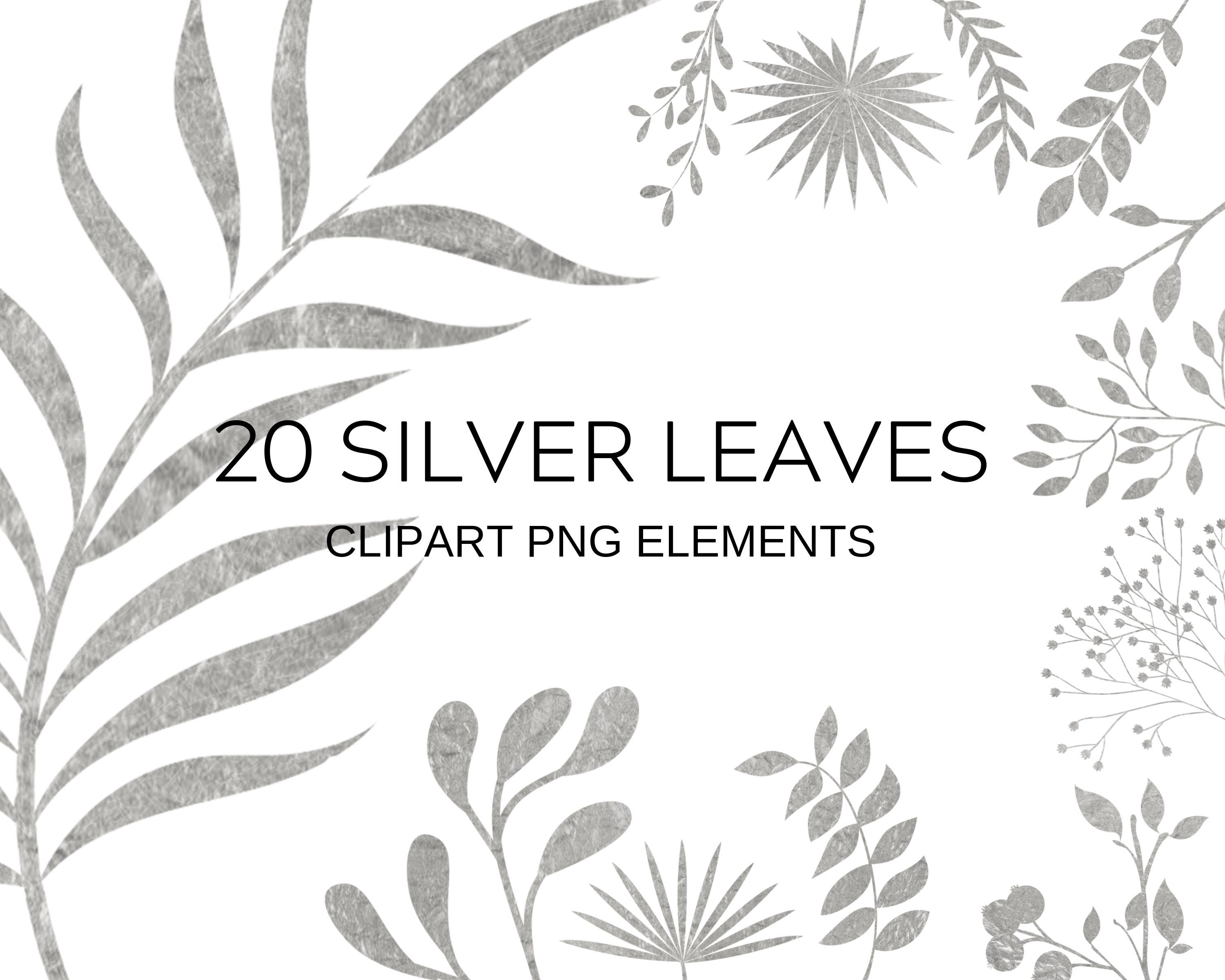 20 Silver Foil Leaves Silver Tropical Leaf Olive Leaves | Etsy