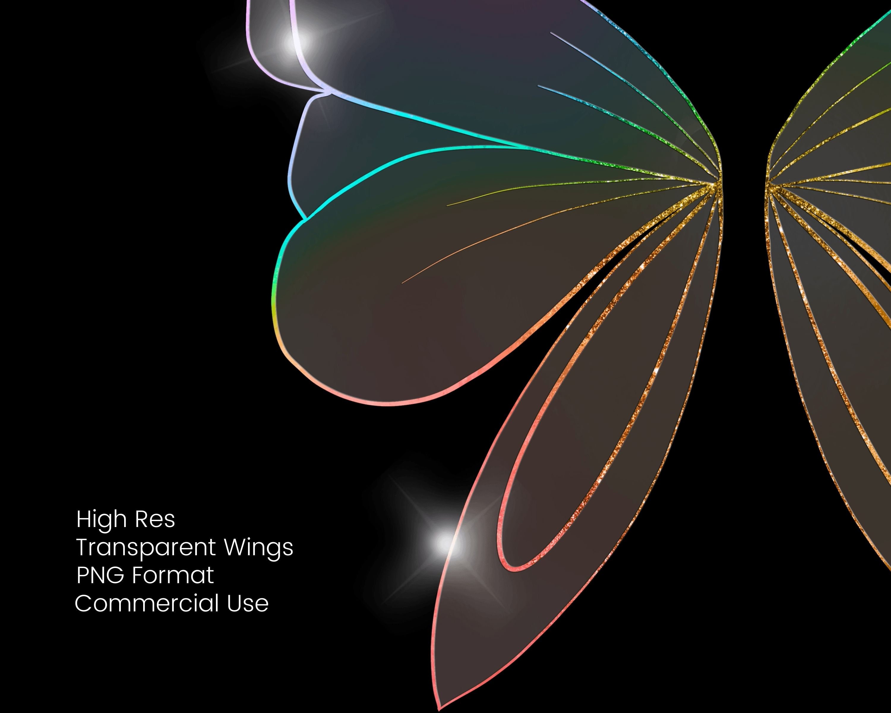 10 Rainbow Fairy Wings Clipart Transparent Butterfly Wing - Etsy Hong Kong