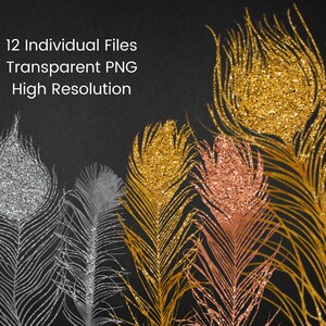 Foil and Glitter Feathers Clipart, Gold, Rose Gold and Silver Feather ...