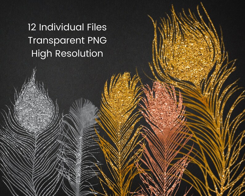 Foil and Glitter Feathers Clipart Gold Rose Gold and Silver | Etsy