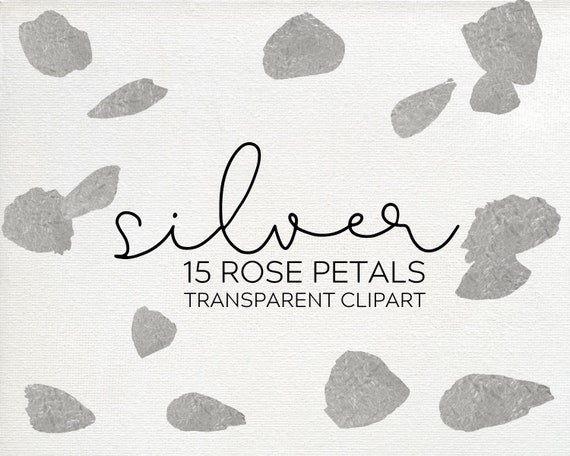 White Rose Petals Png