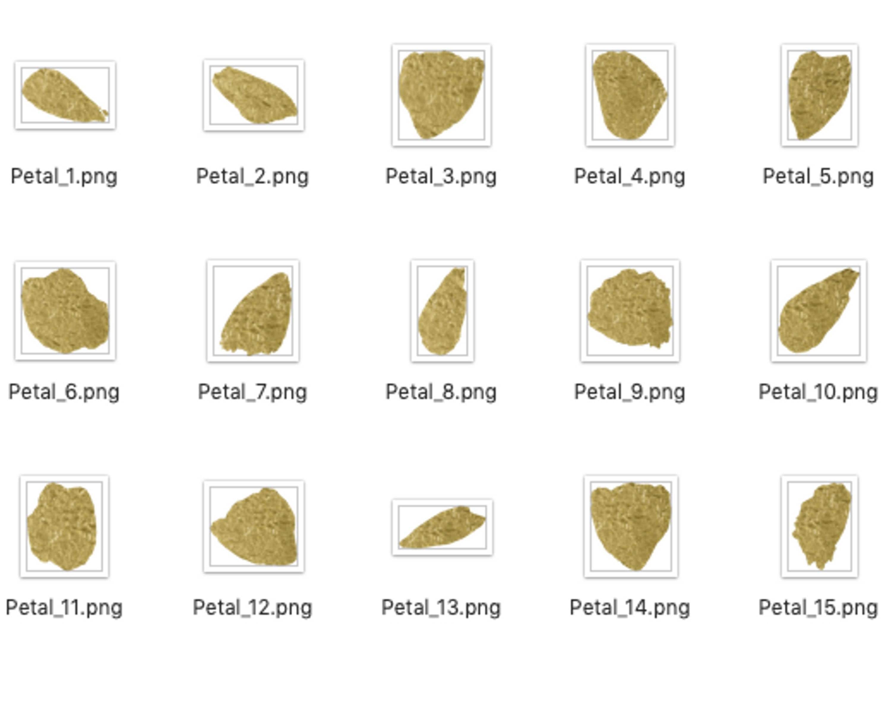 20 Gold Rose Petals, Gold Flower Petals, Falling Petals, Clip Art ...