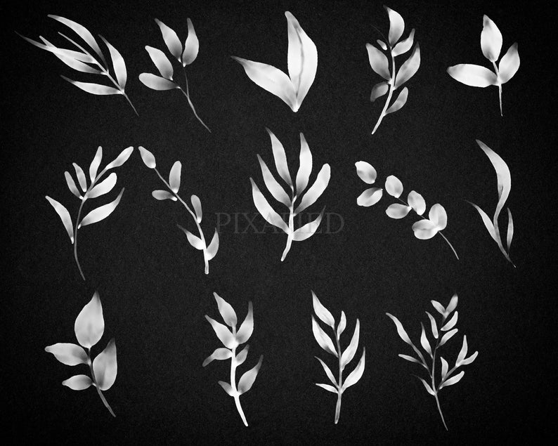 White Watercolor Foliage Clip Art, Transparent Digital Leaf Clipart ...