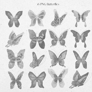 Silver Butterfly Clipart, Foil and Glitter Butterflies, PNG Butterfly ...