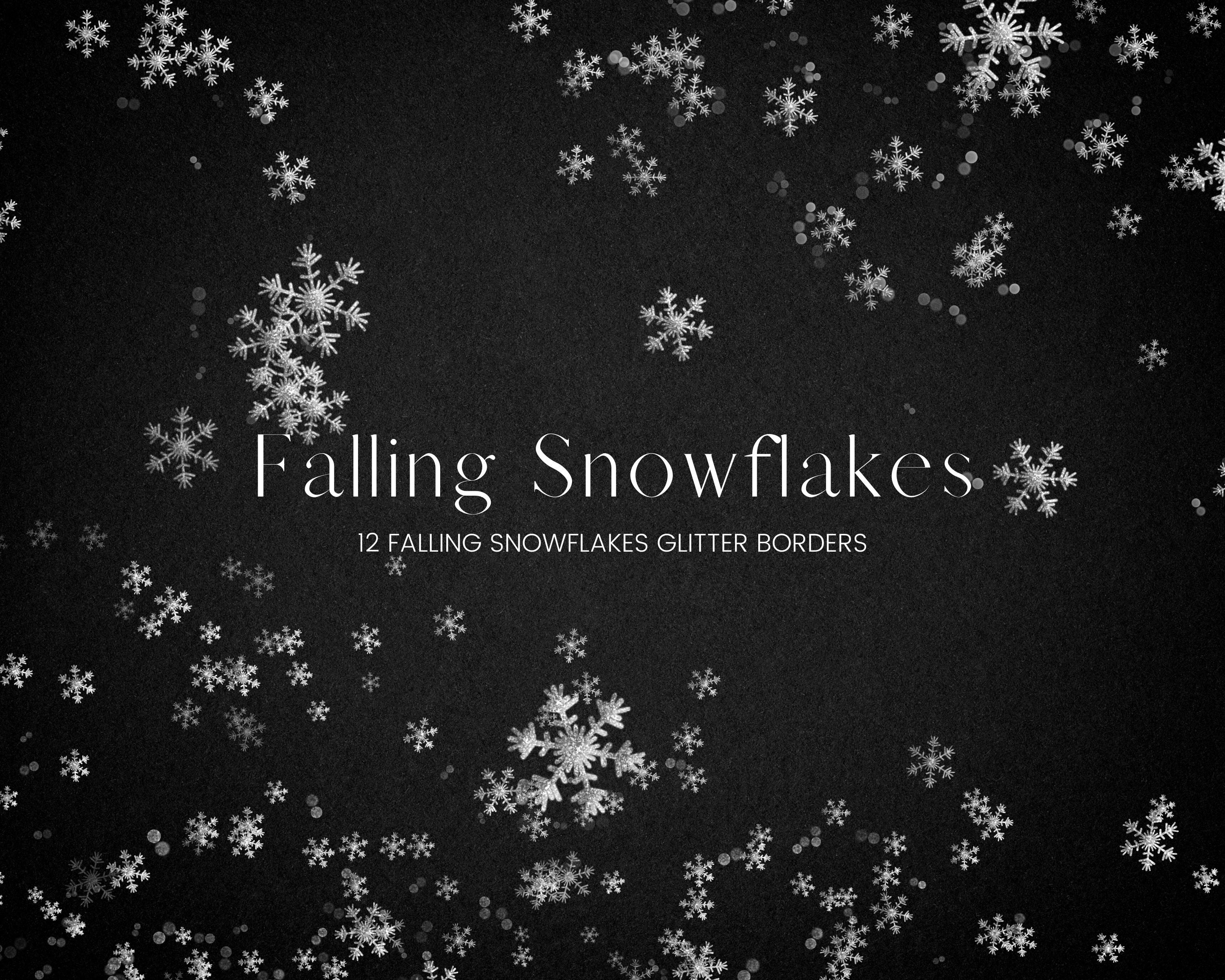 Falling Snowflake Pictures