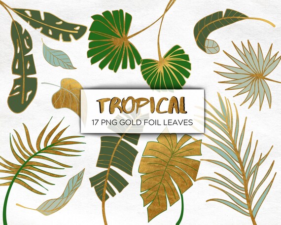 17 Tropical and Gold Foil leaves clip art Green and Olive | Etsy