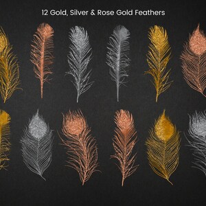 Foil and Glitter Feathers Clipart, Gold, Rose Gold and Silver Feather ...