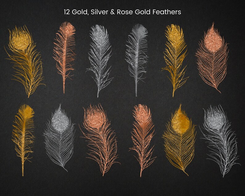 Foil and Glitter Feathers Clipart, Gold, Rose Gold and Silver Feather ...