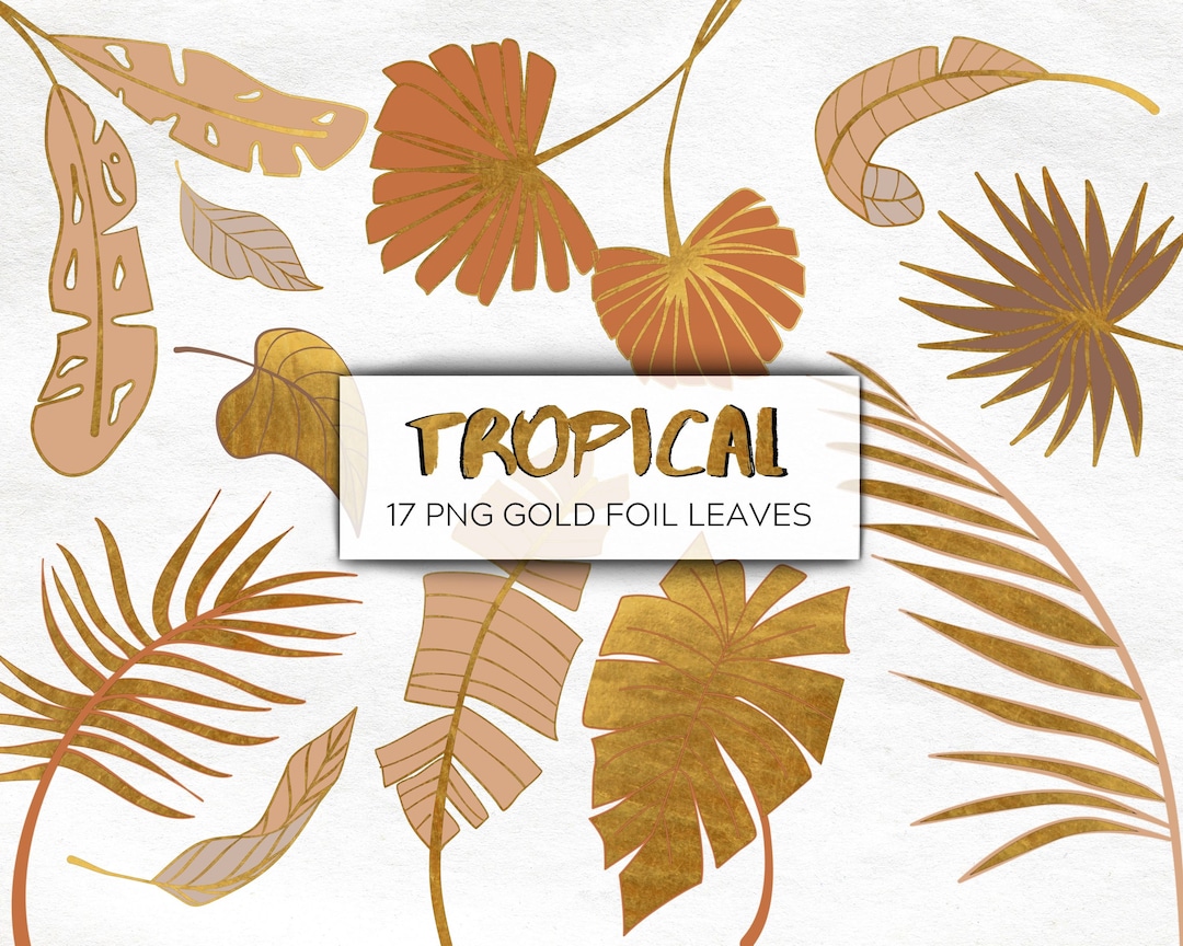 17 Tropical and Gold Foil Leaves Clip Art, Brown and Beige Leaf, Palm ...