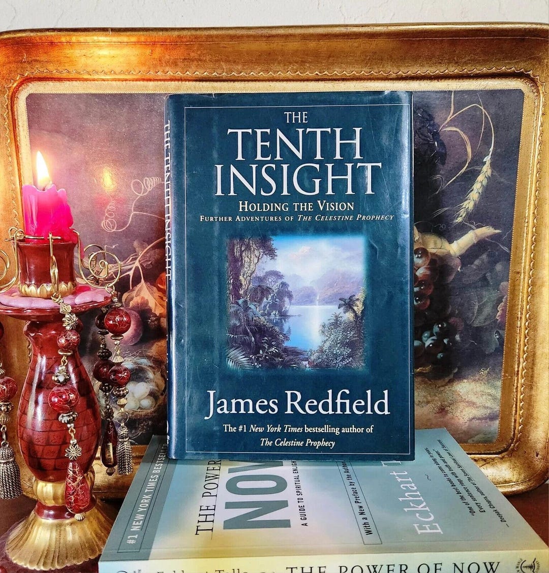 THE TENTH INSIGHT. by James Redfield, 1996 - Etsy