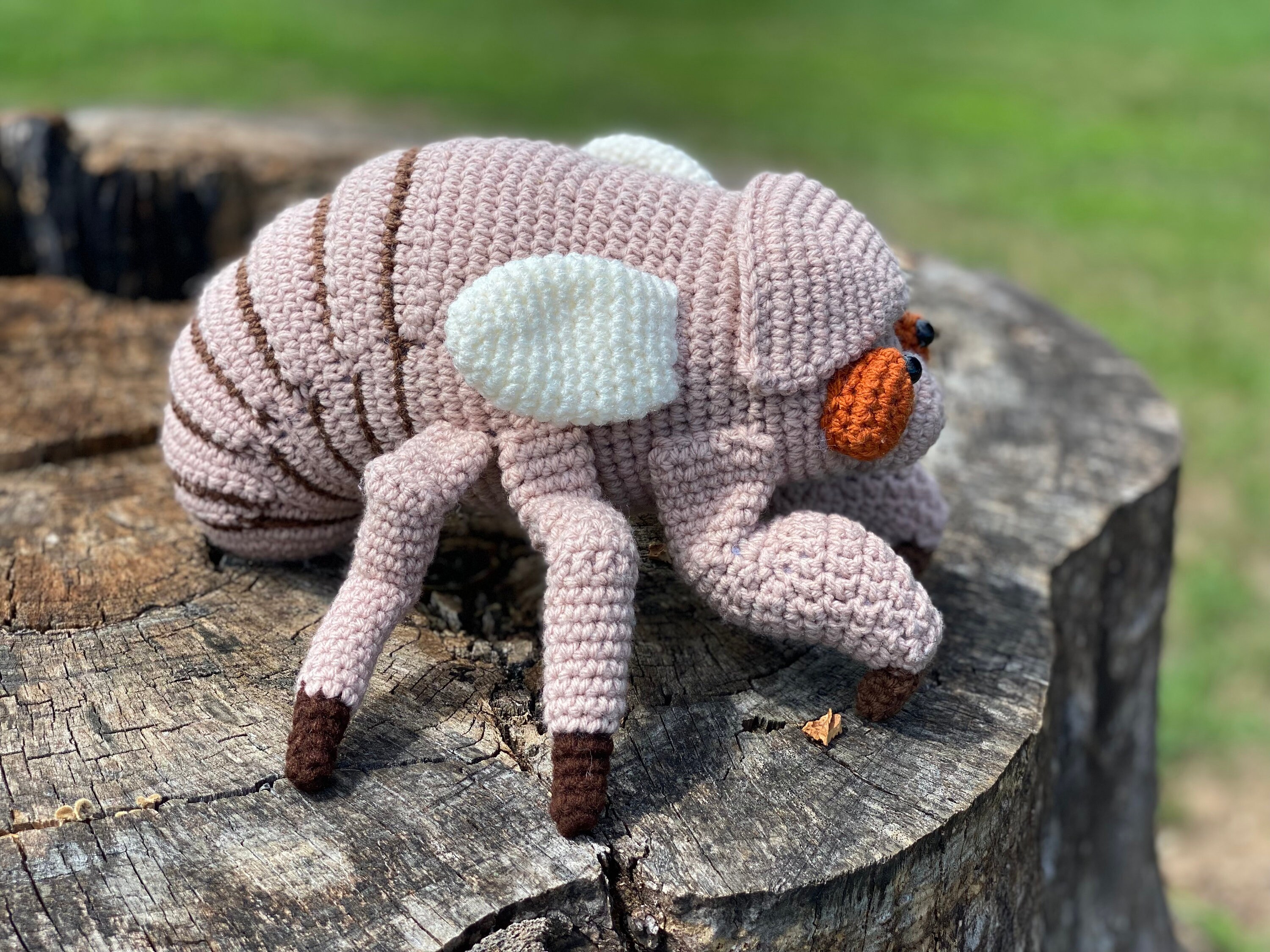 Crocheted Cicada Nymph Plush - Etsy