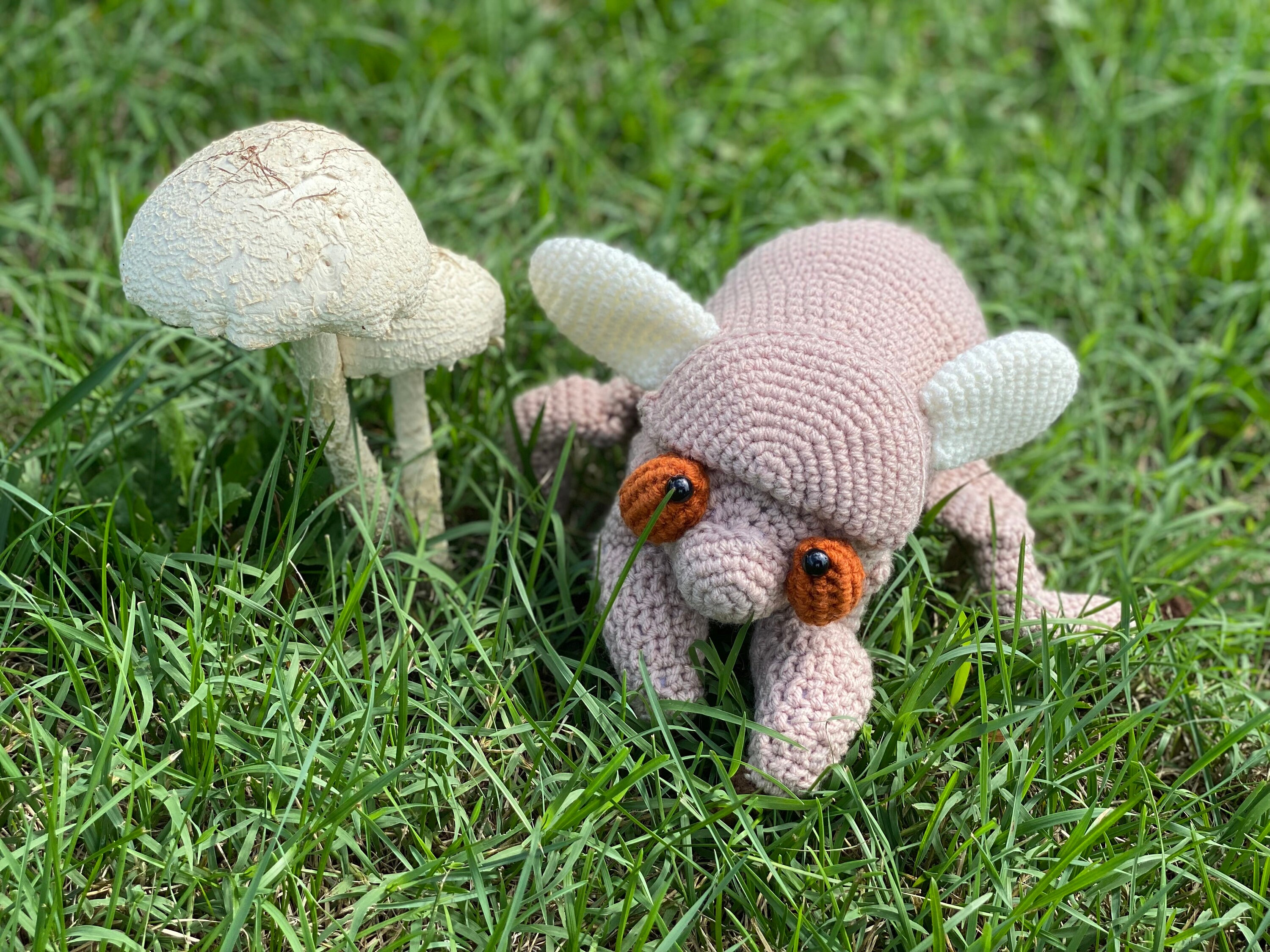 Crocheted Cicada Nymph Plush - Etsy