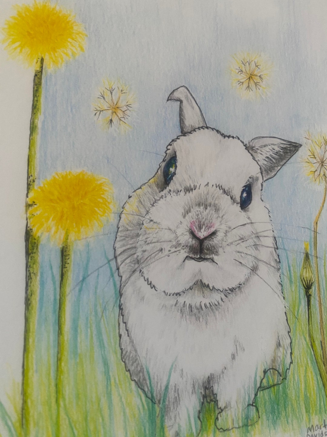 Bunny Rabbit and Dandelions Art Print. - Rabbit Art - Etsy