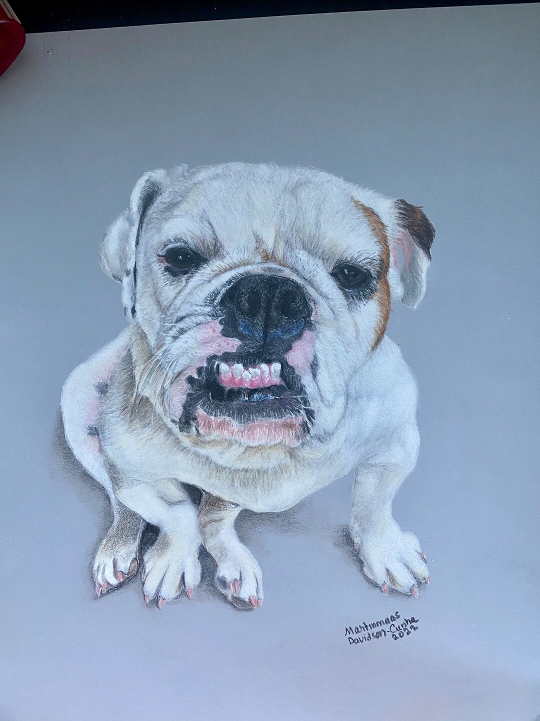 Colored Pencil Pet Portraits - Hand Drawn Pet Portraits - Wall Art ...