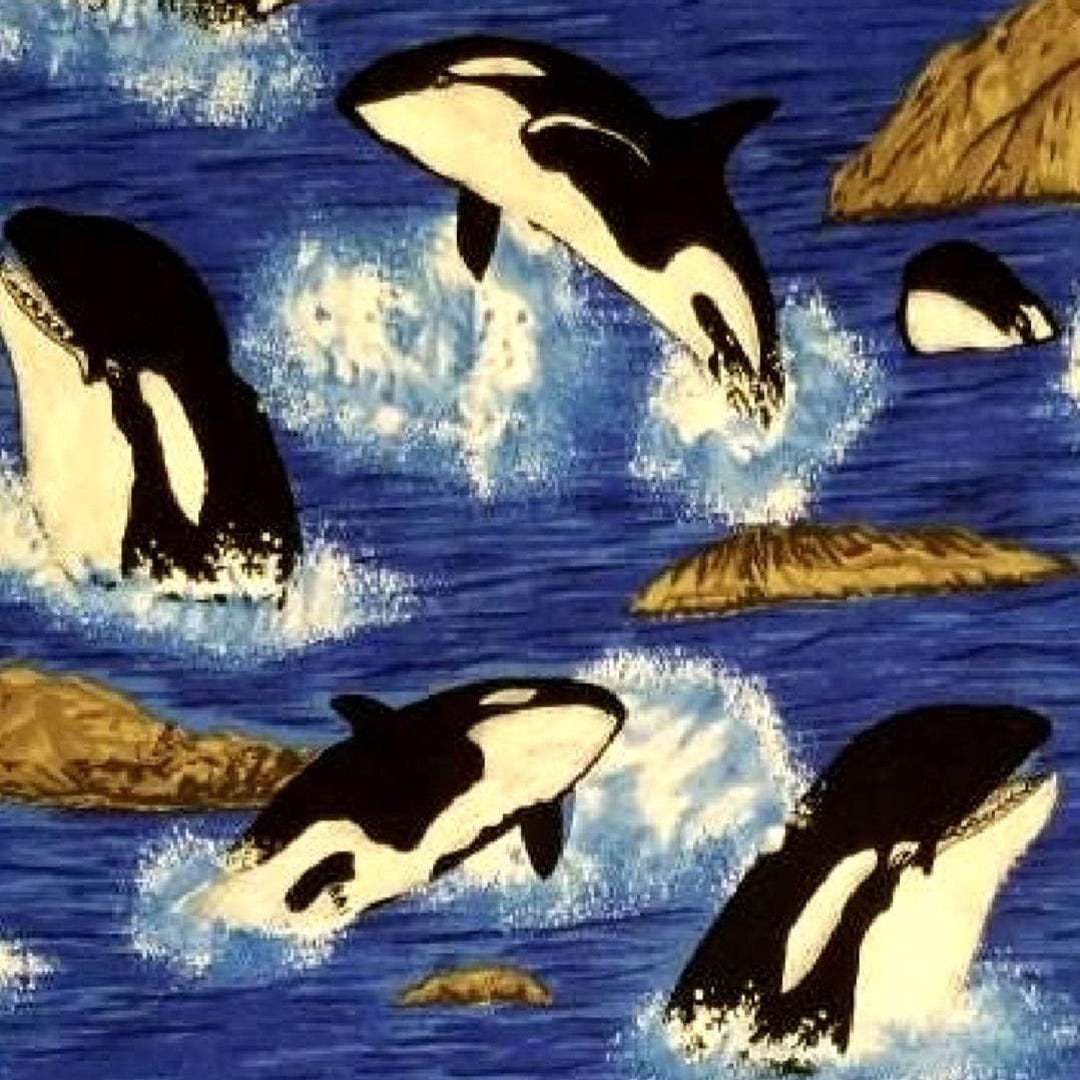 Orcas Fabric Whales Shamu/sons Killer Whales 100% Cotton HTF Yard 1/2 ...