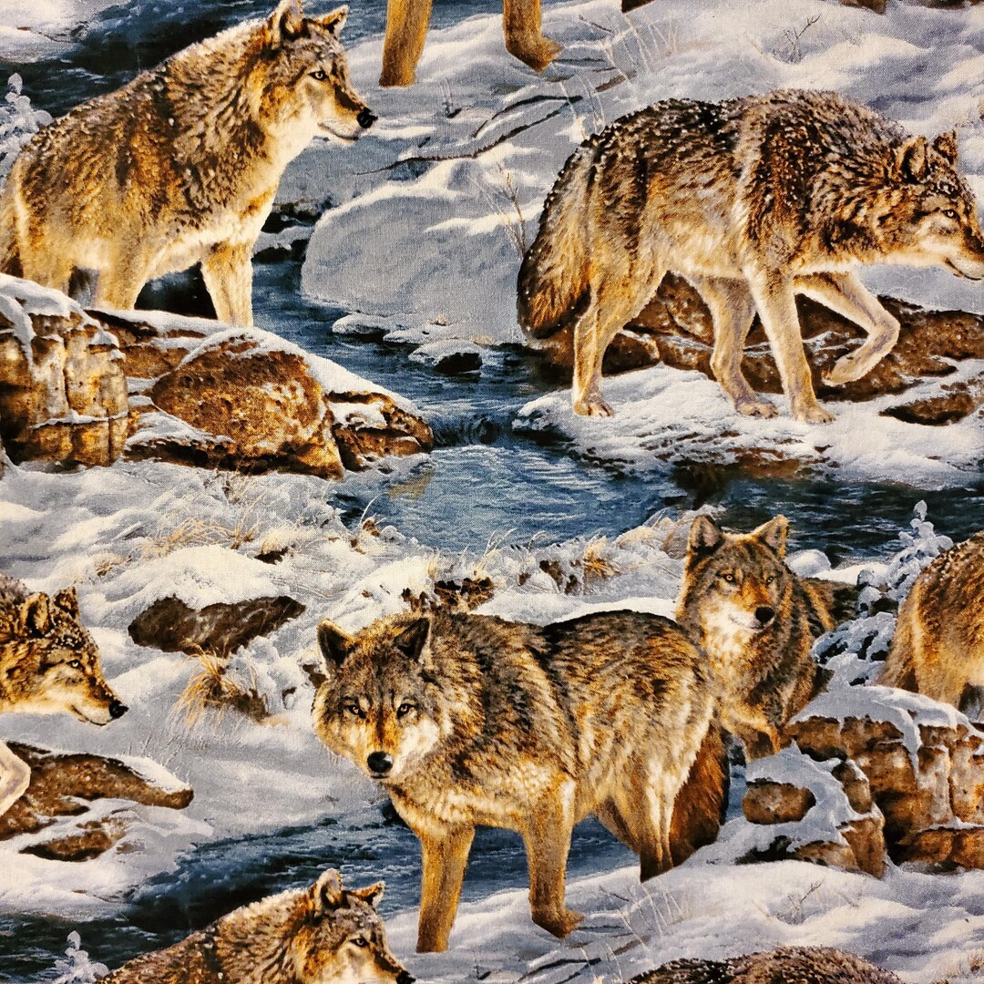 FABRIC Timber Wolves at Narragansett Creek 100% 1/2 Yd/fq/yd Cotton ...