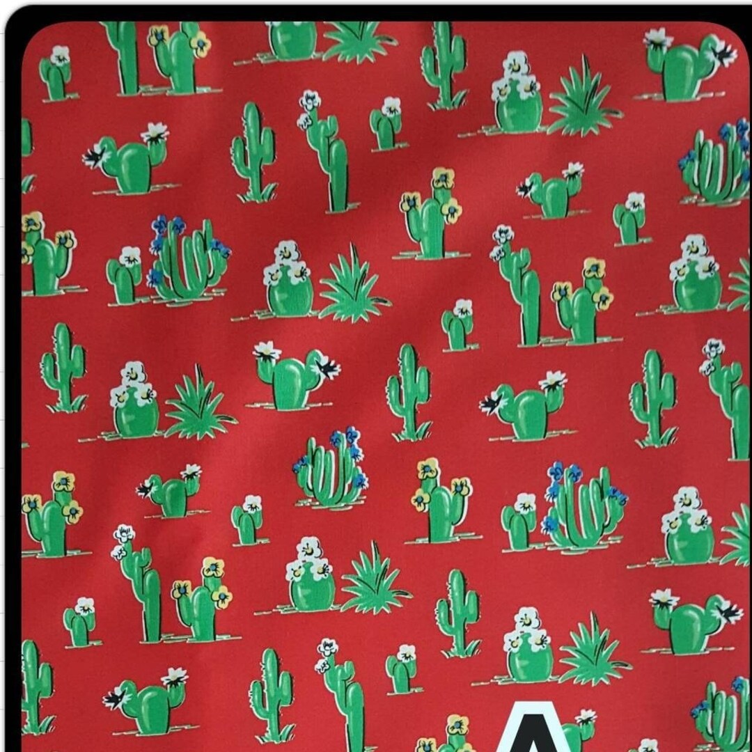 Scrub Tops Cactus Blooms South of Border Desert Cinco De Mayo Arizona ...