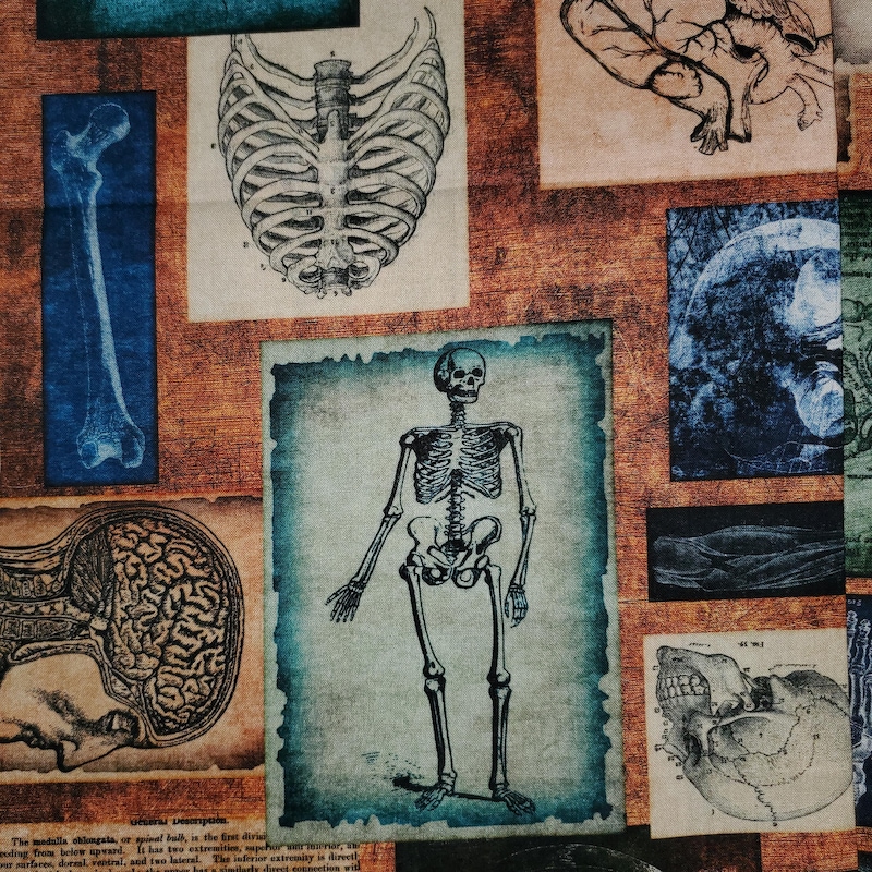 Biology Fabric - Etsy